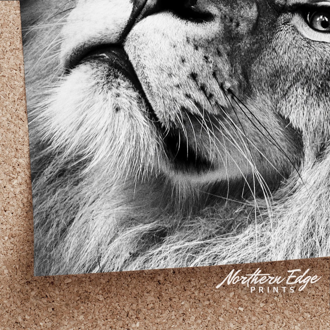 Lion Print Lion Art Animal Print Safari Print Safari Art | Etsy