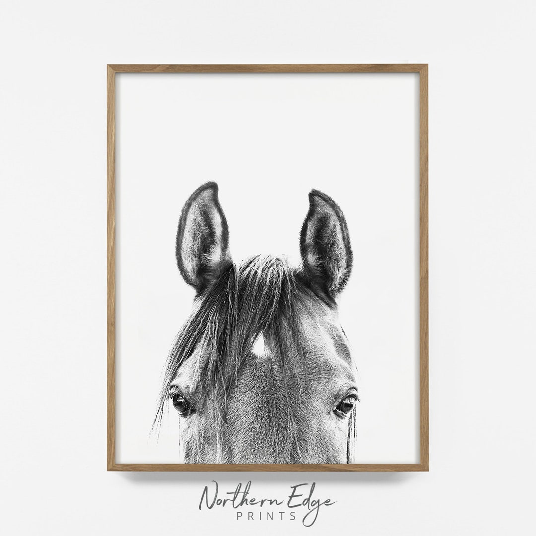 Vertical Horse, Bw Horse Print, Horse Photo, Equestrian Print ...