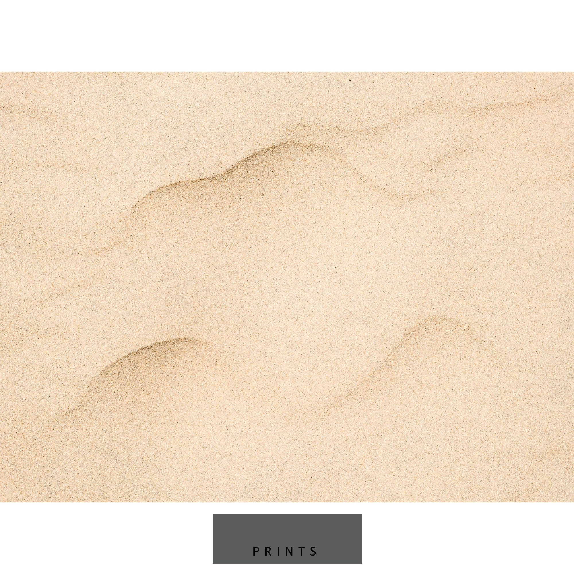 Beach Sand Print Sand Grass Art Autumn Beach Art Sand | Etsy