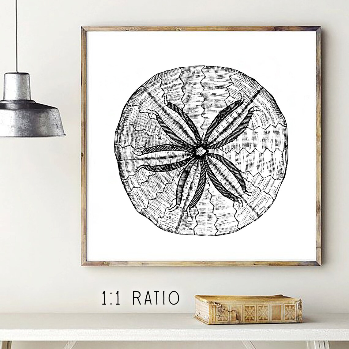Sand Dollar Printable Print Tropical Beach Summer | Etsy
