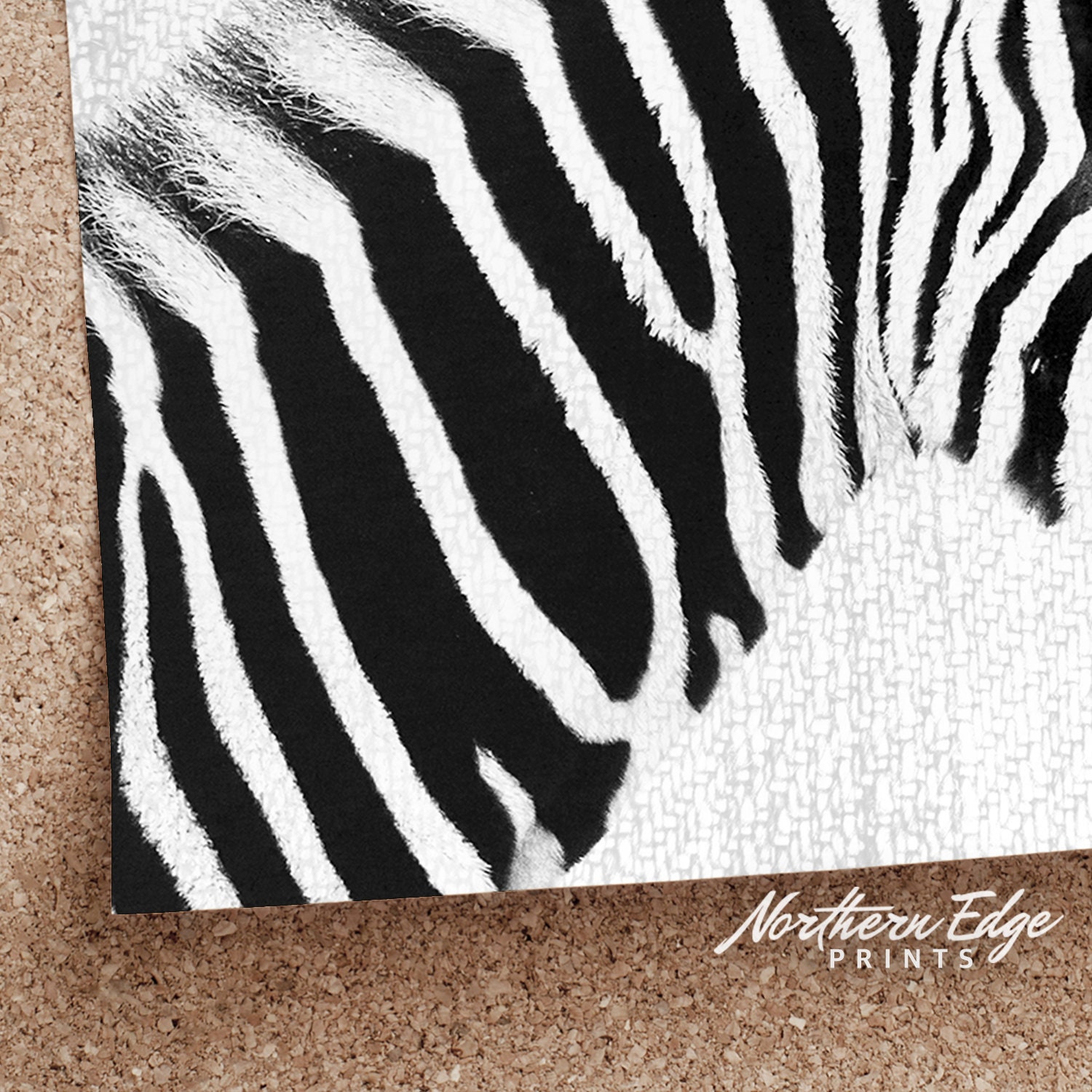 BW Baby Zebra Printable Zebra Art Zoo Animal Nursery Art | Etsy