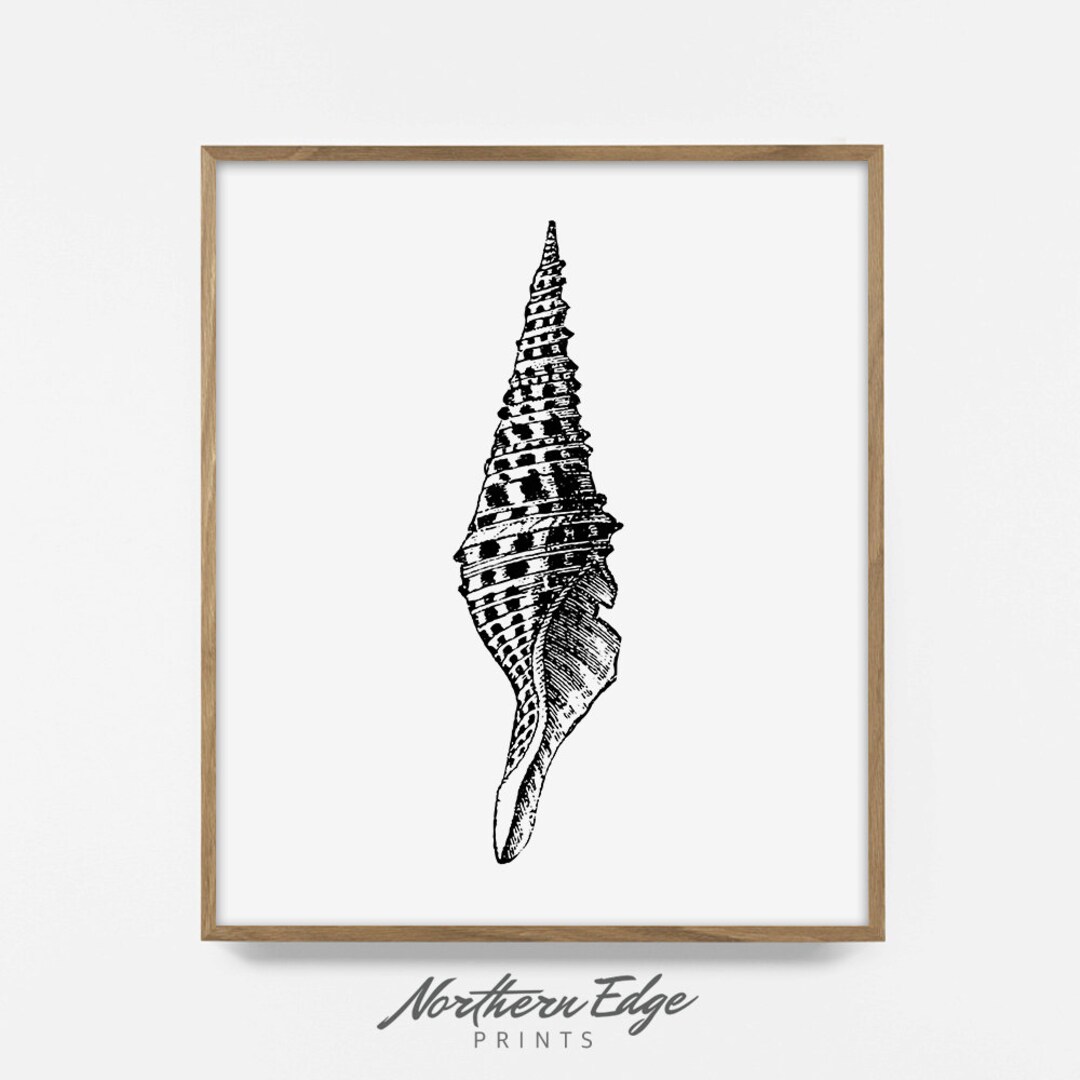 Sea Shell, Printable Print, Ocean Decor, Beach, Summer, Posters, Wall ...