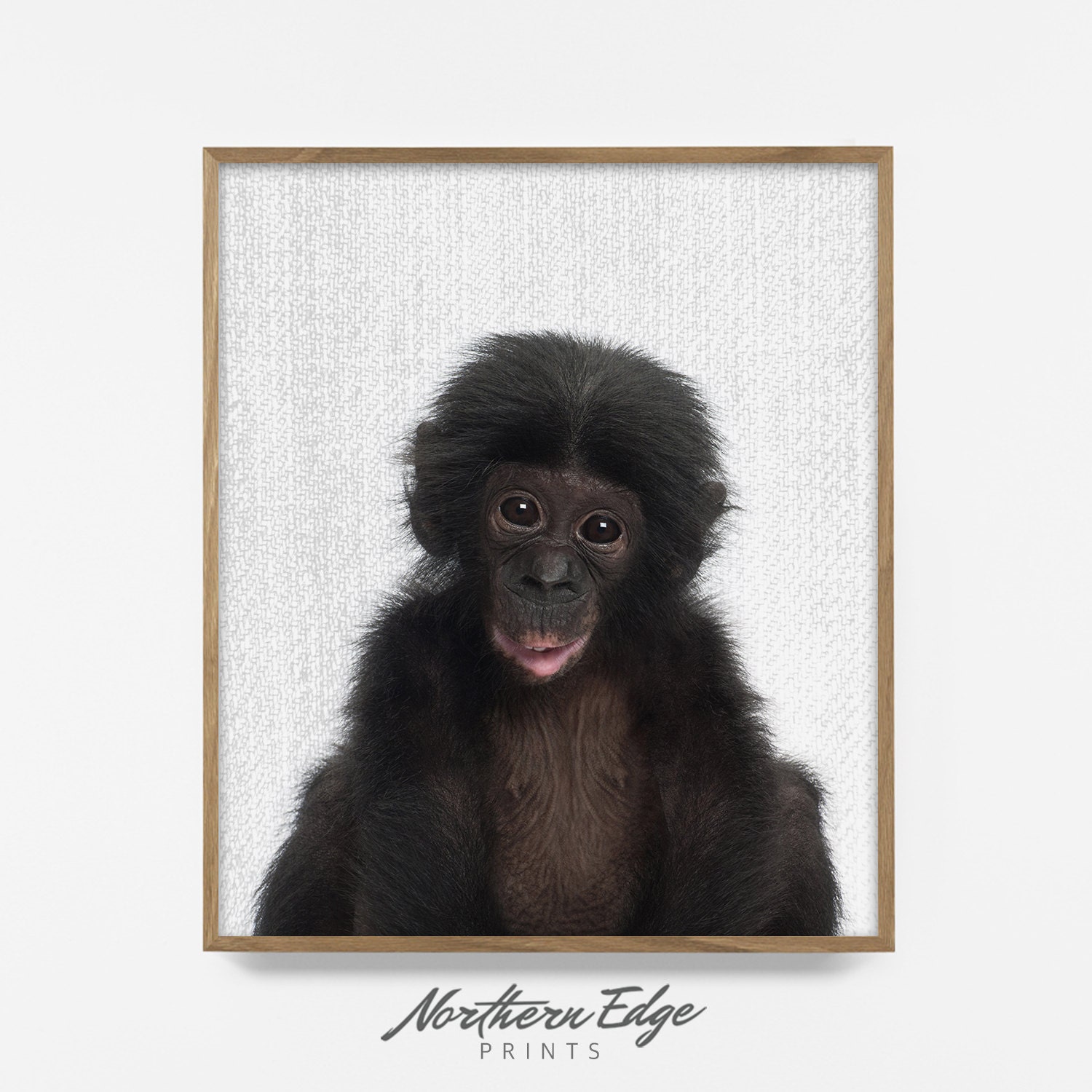 Baby Monkey Zoo Animal Nursery Art Printable Poster Modern | Etsy