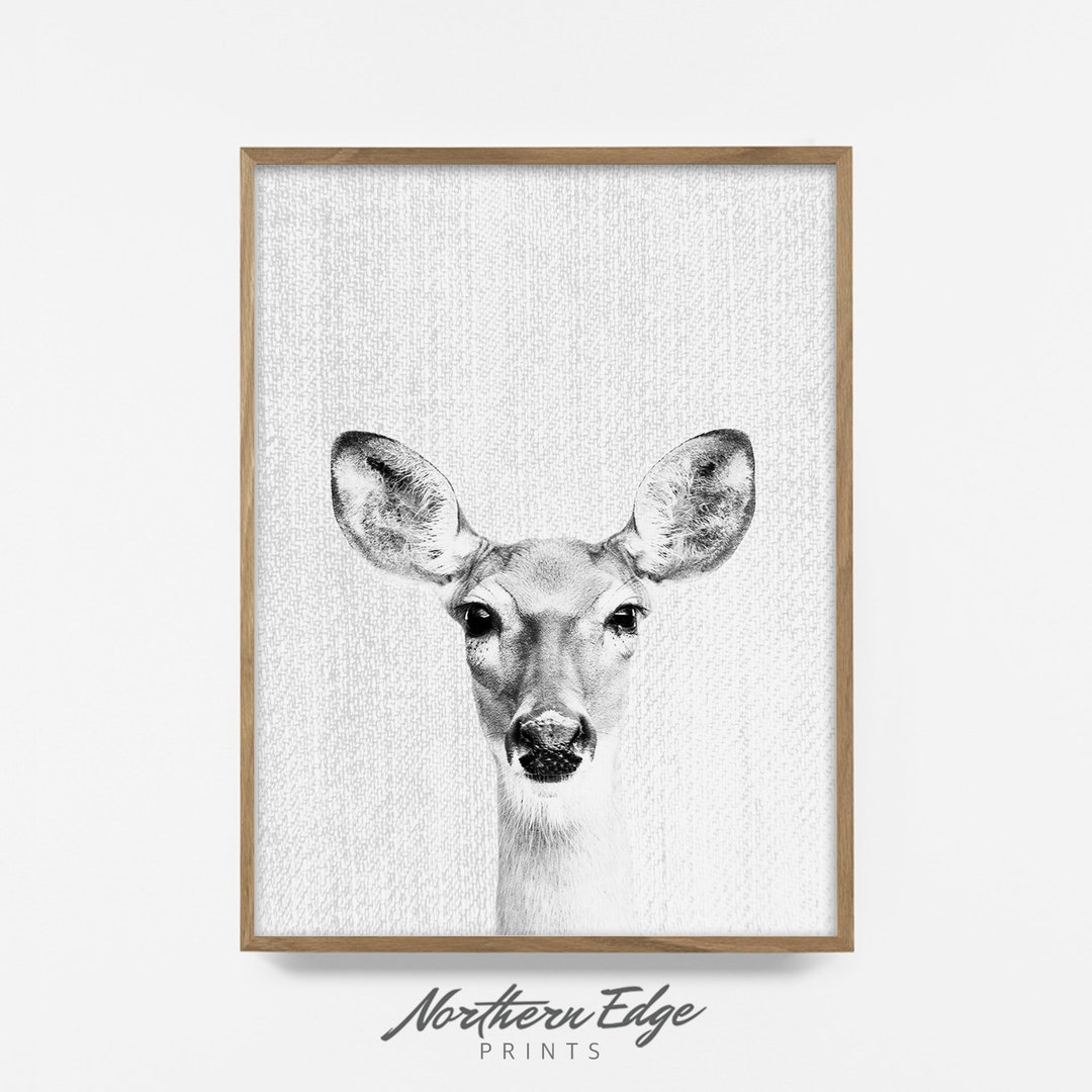 Deer Print, Deer Art, Doe Art, Doe Print, Forest Animal Print, Bw Deer ...
