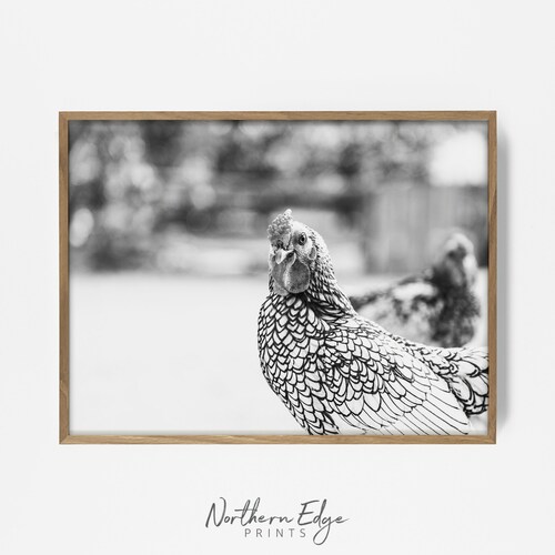 Farm Animal Print Chicken Wall Art Nursery Animal Decor - Etsy