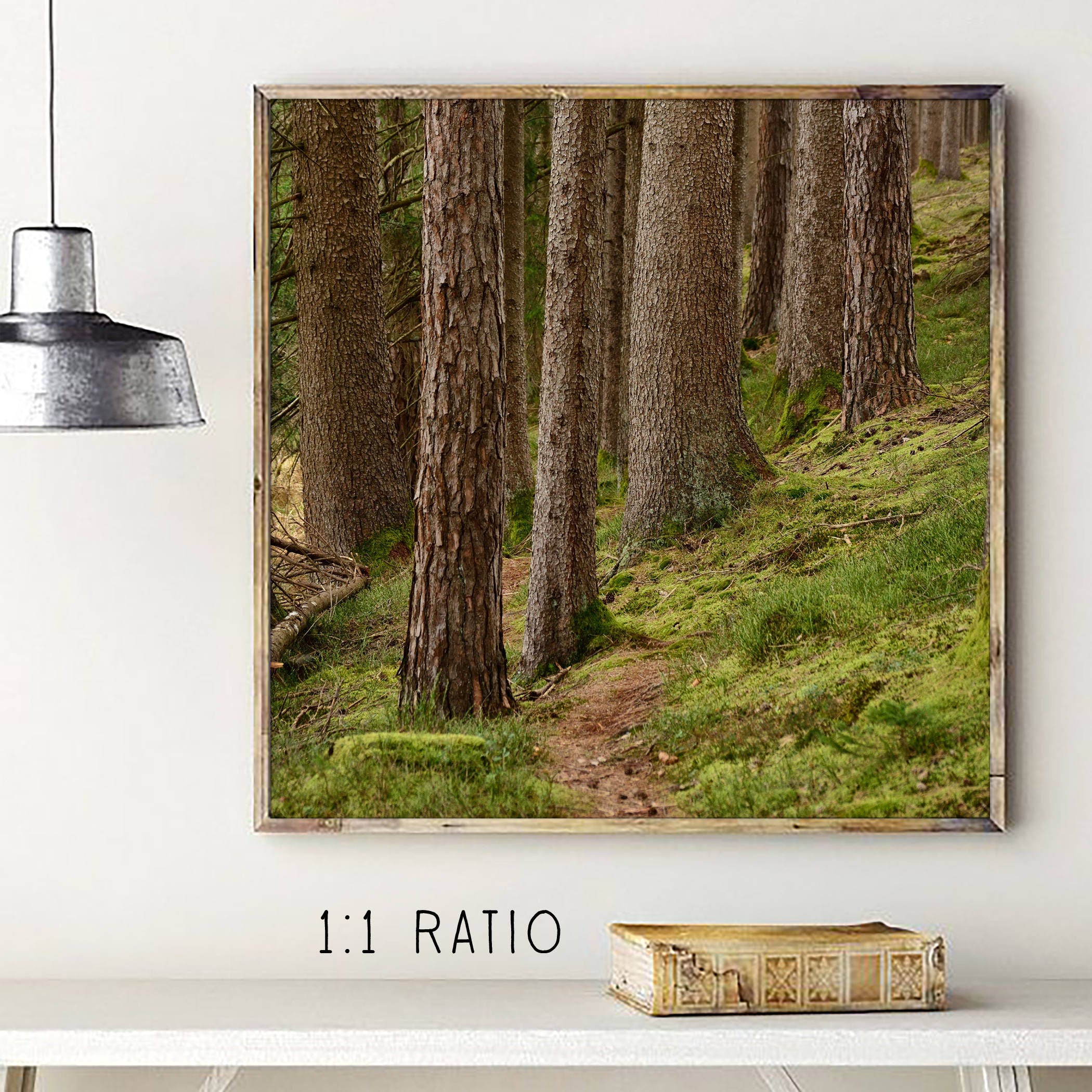 Forest Print Tree Print Printable Photography Printable - Etsy