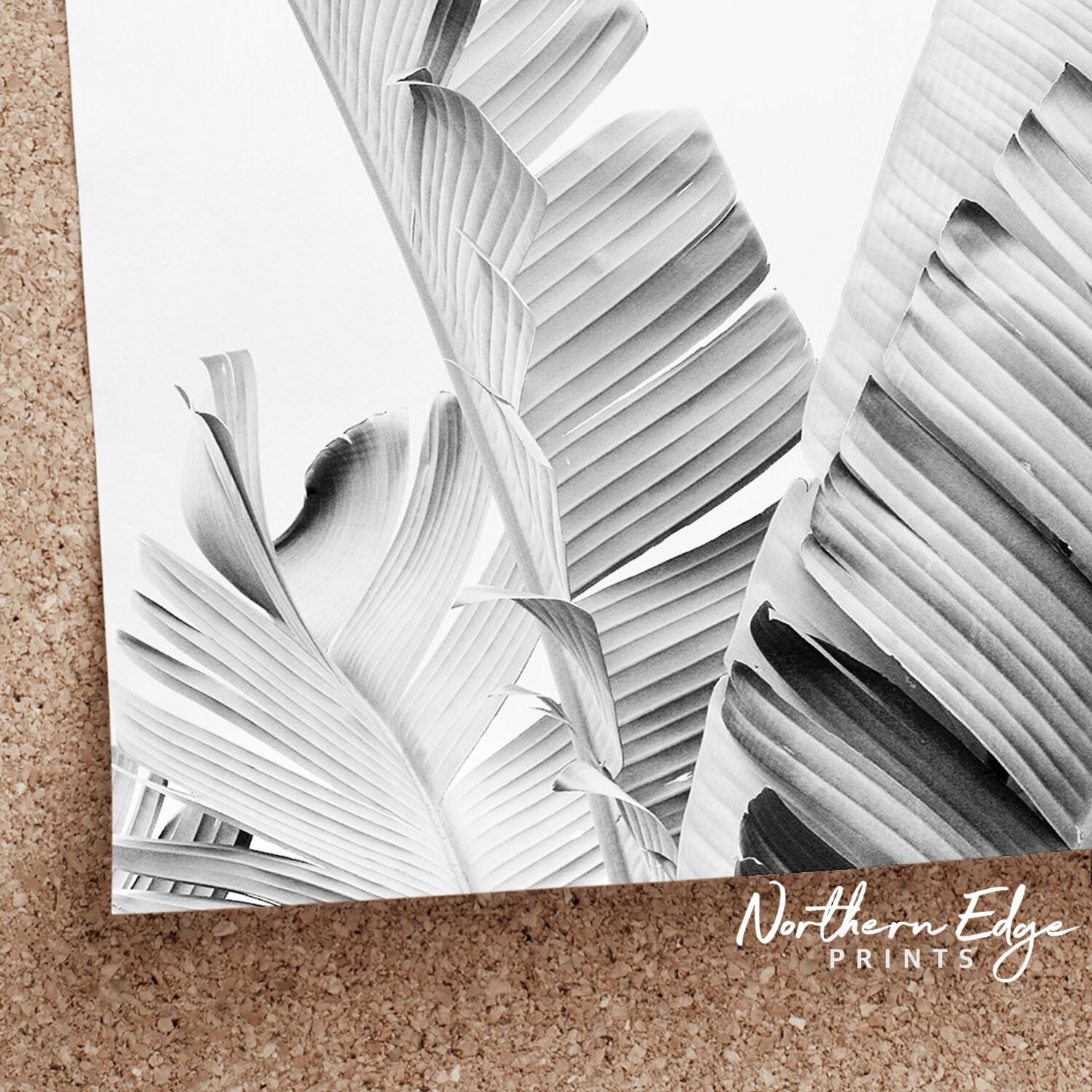 Bw Banana Leaf Print Bw Tropical Leaf Wall Art Bw Printable | Etsy