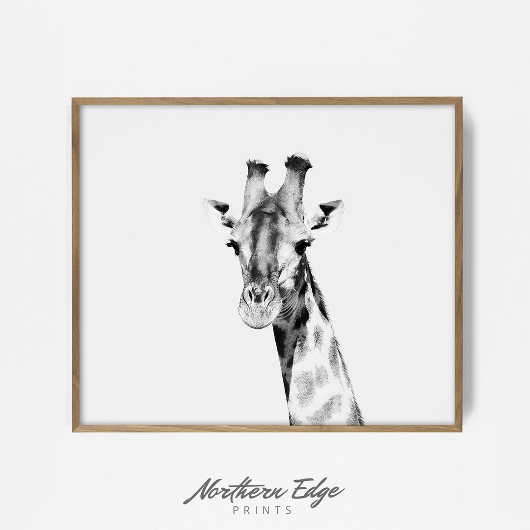 Giraffe Print, Printable Giraffe, Black and White Safari, Safari Print ...