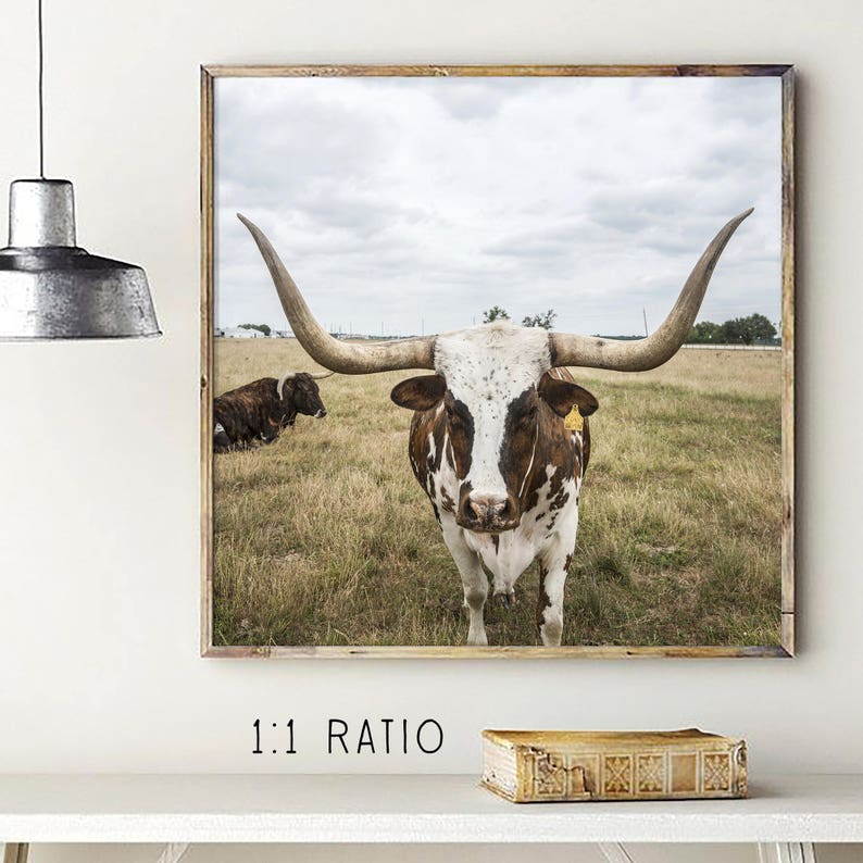 Steer Print Western Print Western Art Western Printable - Etsy