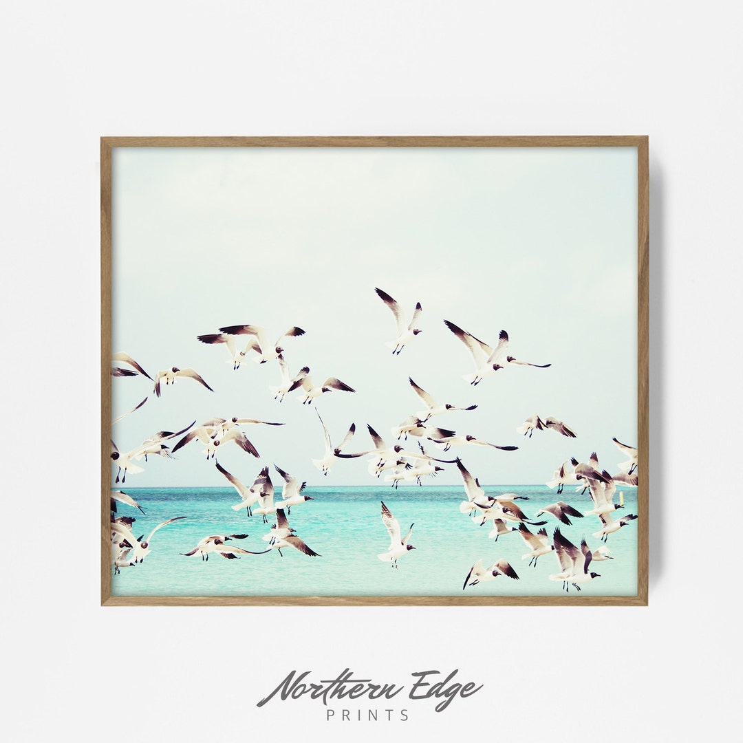 Turquoise Beach Art, Seagull Art Print, Boho Print, Boho Art, Summer ...