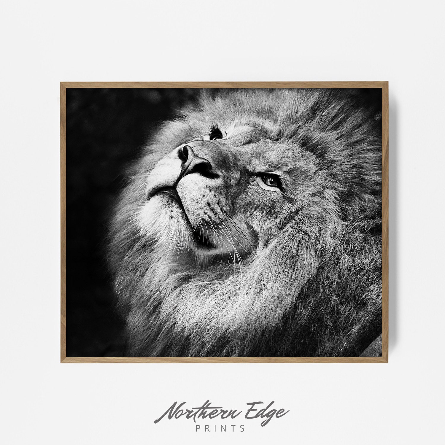 Lion Print Lion Art Animal Print Safari Print Safari Art | Etsy