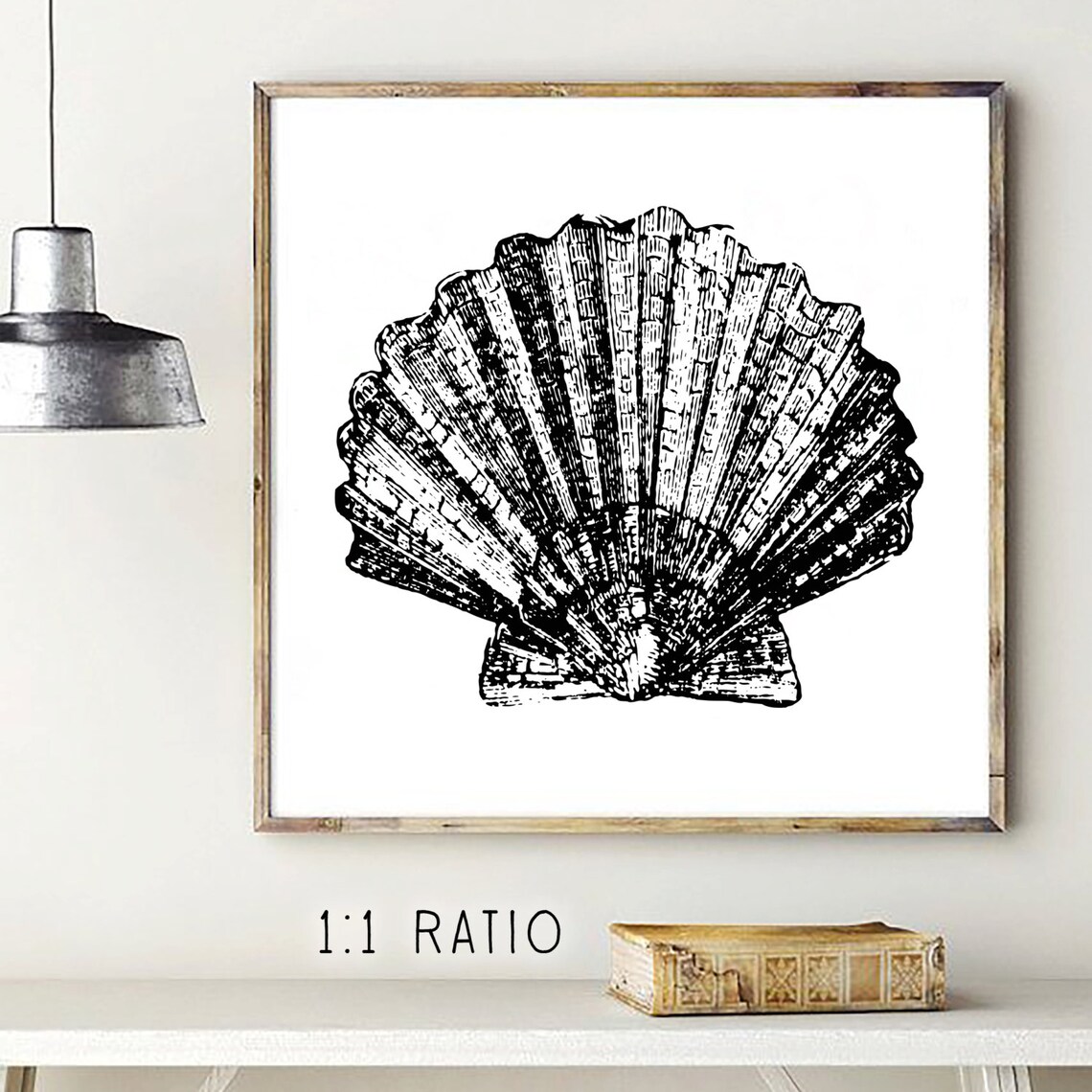 Fan Shell Poster Summer Decor Beach Art Sea Shore Ocean | Etsy