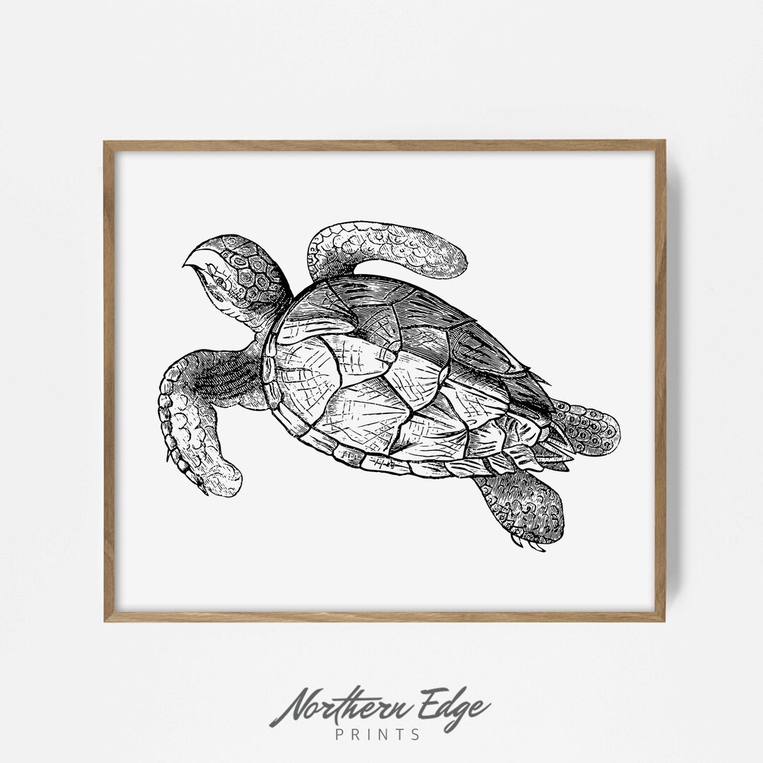 Sea Turtle, Printable, Illustration, Print, Poster, Summer, Beach ...