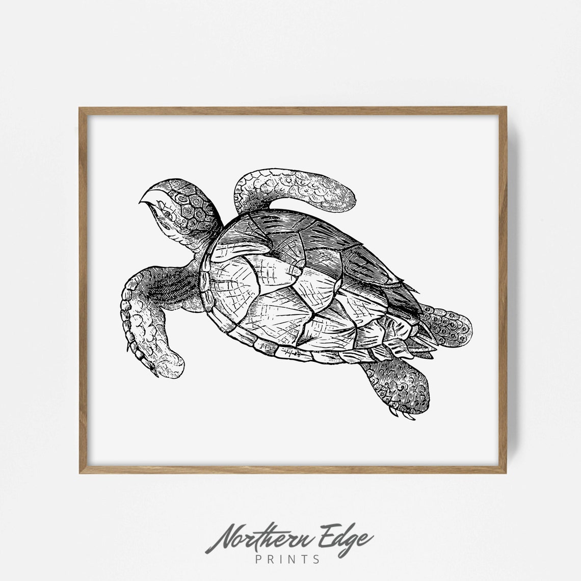 Sea Turtle Printable Illustration Print Poster Summer - Etsy