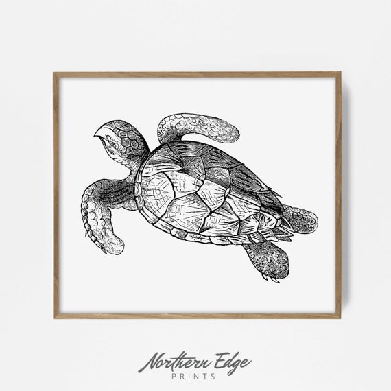 Sea Turtle Printable Illustration Print Poster Summer - Etsy