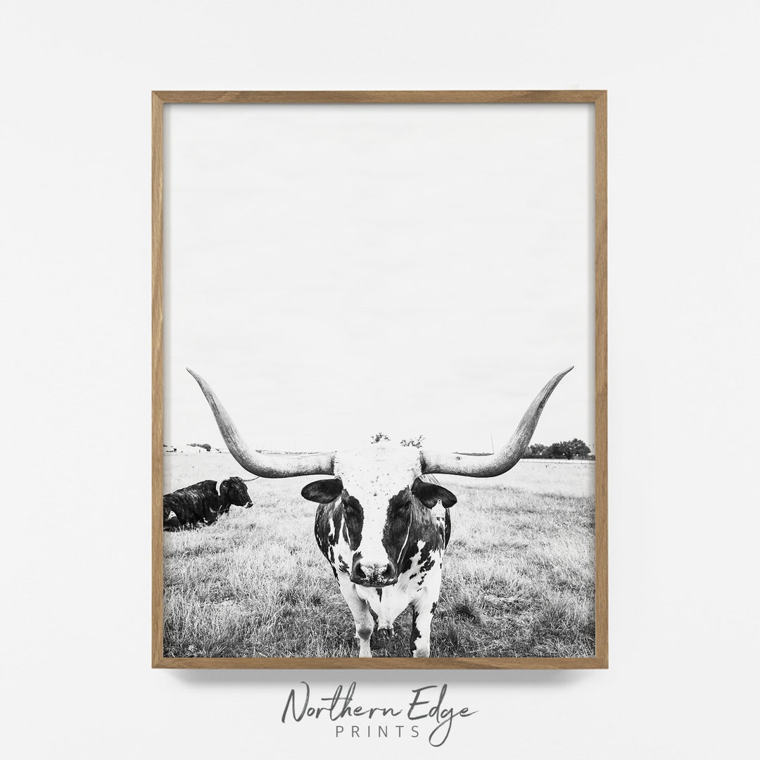 Bw Steer Print, Longhorn Print, Longhorn Wall Art, Longhorn Art ...
