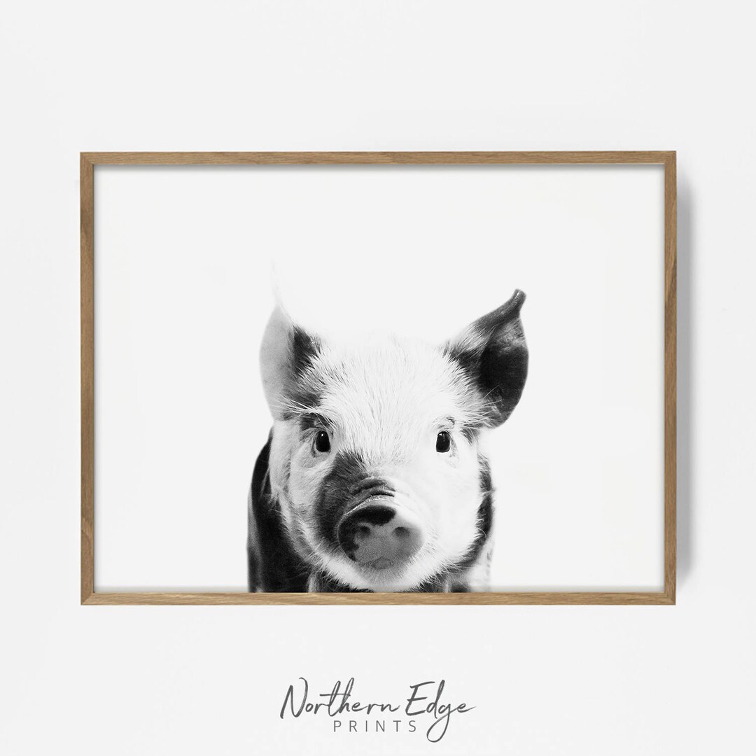 Farm Animal Print, Piglet Print, Pig Wall Art, Pig Print, Southwest ...