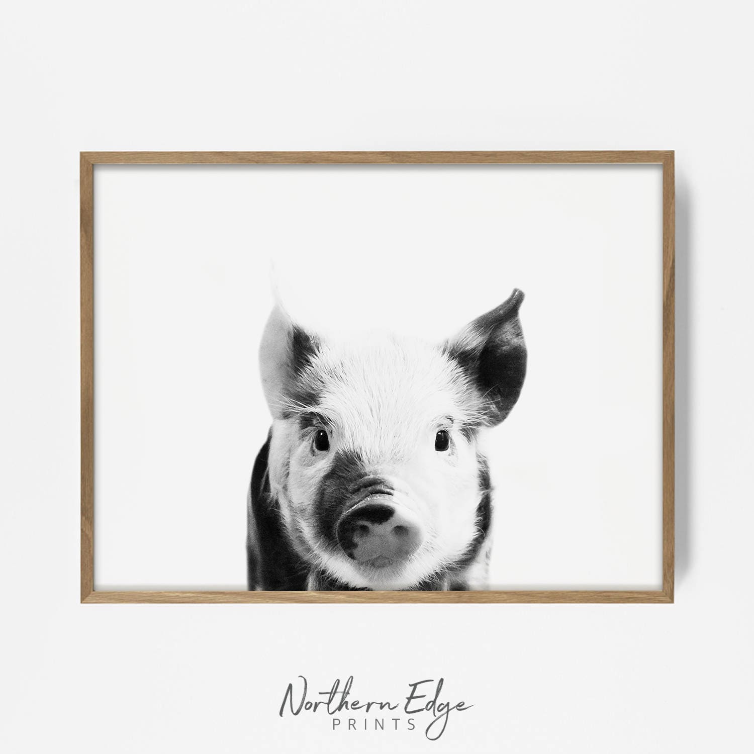 Pig Print Pig Wall Art Farmhouse Decor Piglet Print Baby Pig Art Farm ...
