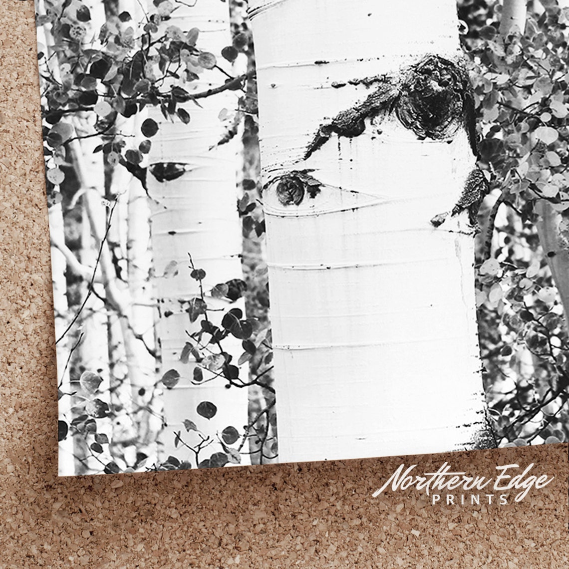 Black and White Birch Print Bw Birch Art Rustic Print - Etsy