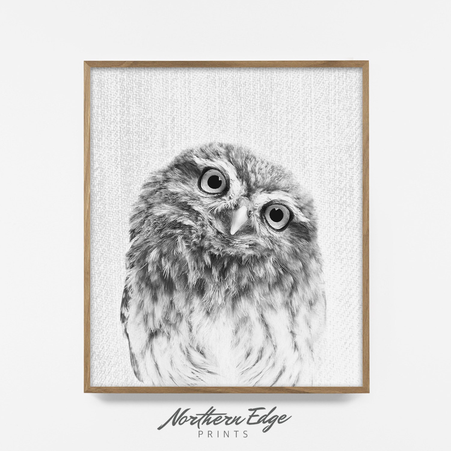 Bw owl print printable owl print peekaboo animal art | Etsy