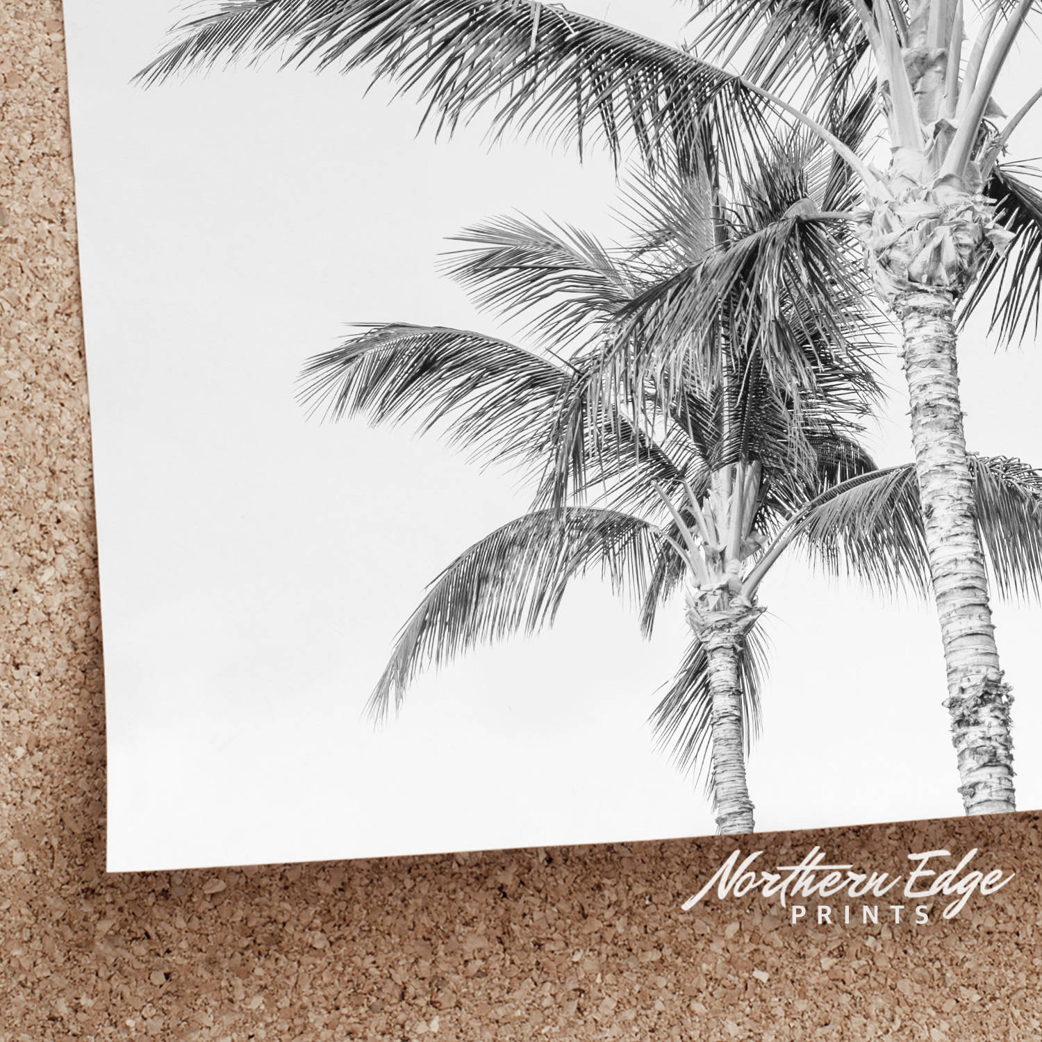 Black and White Palm Tree Art Wall Decor Palm Art Print Bw - Etsy