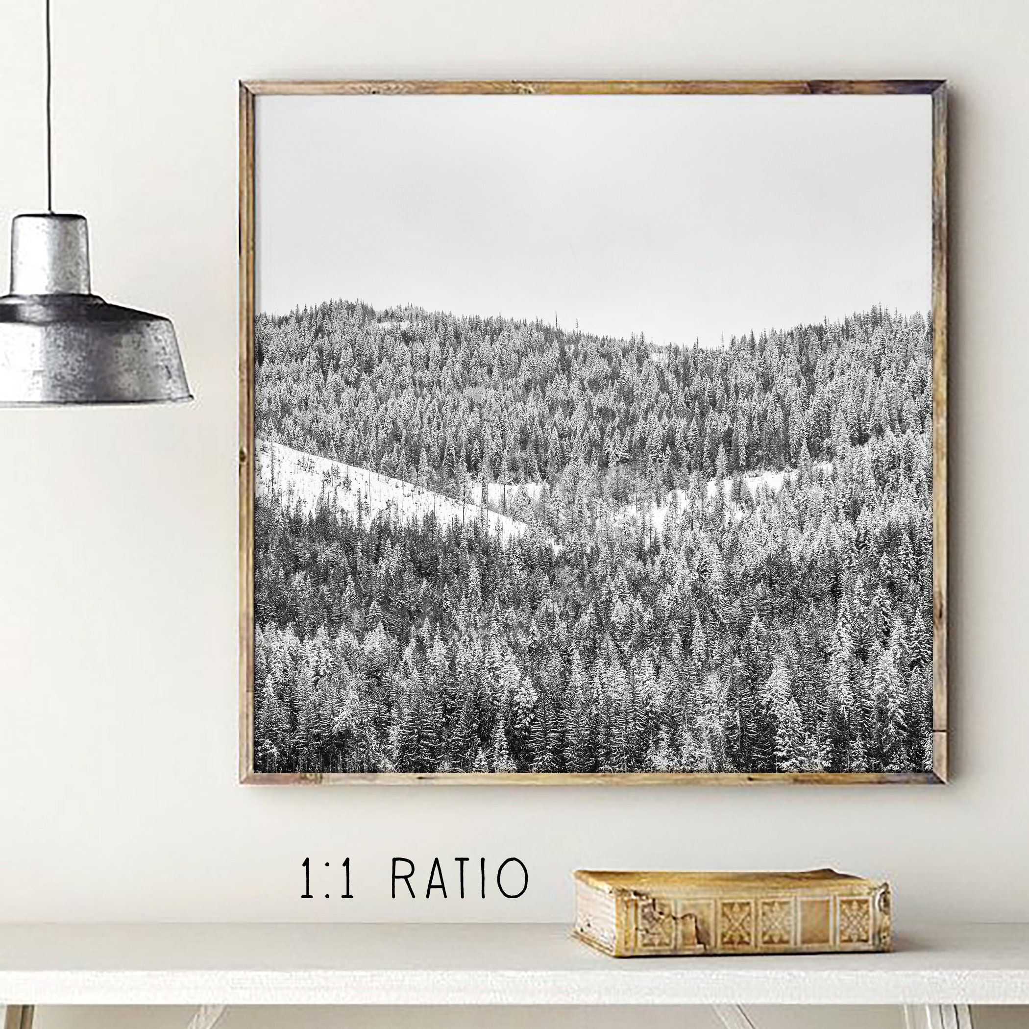 BW Tree Print Forest Print Fog Forest Art Printable Fog | Etsy