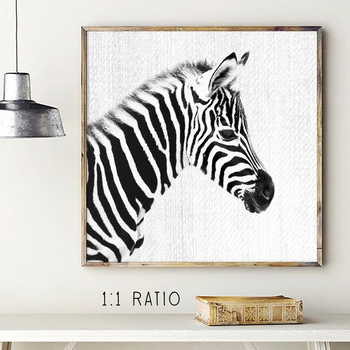 BW Baby Zebra Printable Zebra Art Zoo Animal Nursery Art | Etsy