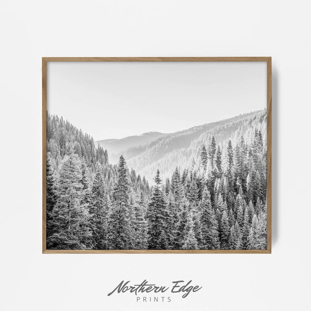Bw Forest Print, Nature Print, Rustic Tree Art, Natural Art, Wall Decor ...