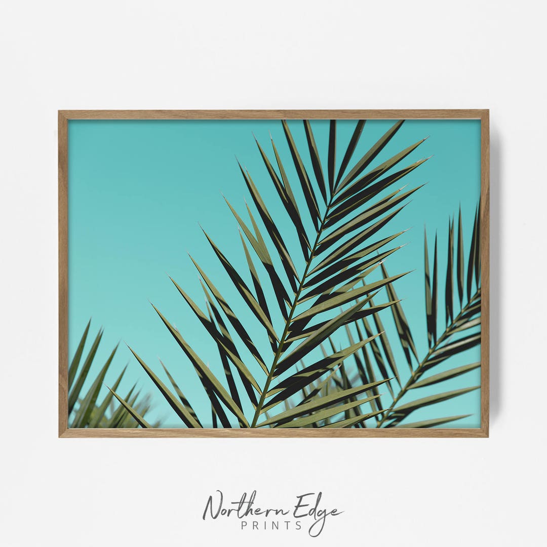 Retro Blue Palm Print, Photograph, Print, Beach Poster, Tropical Wall ...