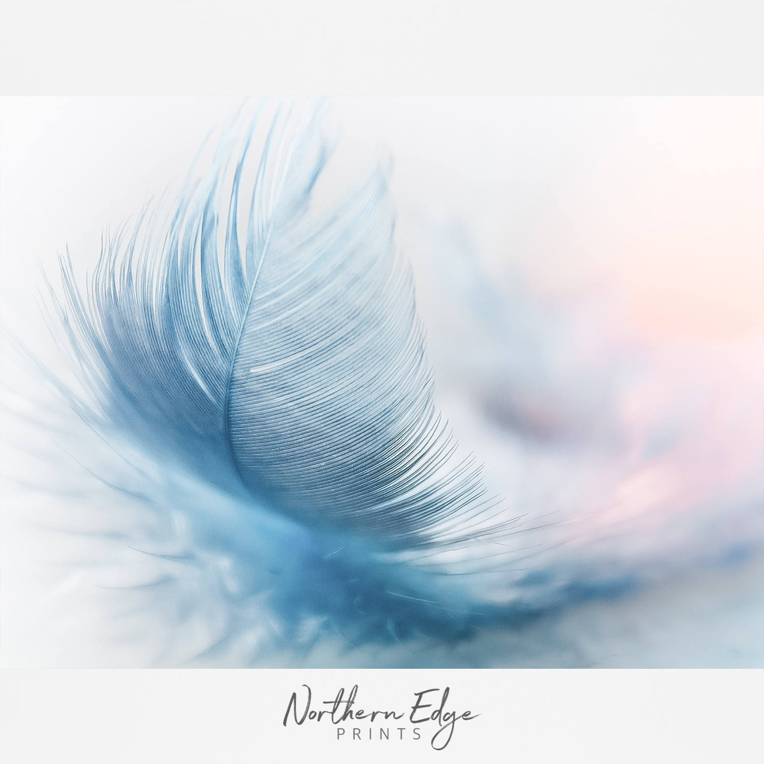 Feather Print Pastel Feather Wall Print Watercolor Print - Etsy