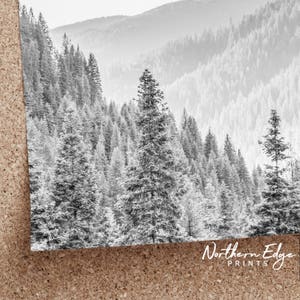 Bw Forest Print, Nature Print, Rustic Tree Art, Natural Art, Wall Decor ...