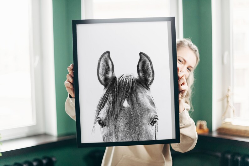 Vertical Horse, Bw Horse Print, Horse Photo, Equestrian Print ...