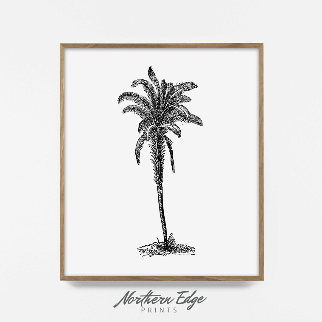 Palm Tree, Printable Print, Tropical, Beach, Summer, Posters, Wall Art ...