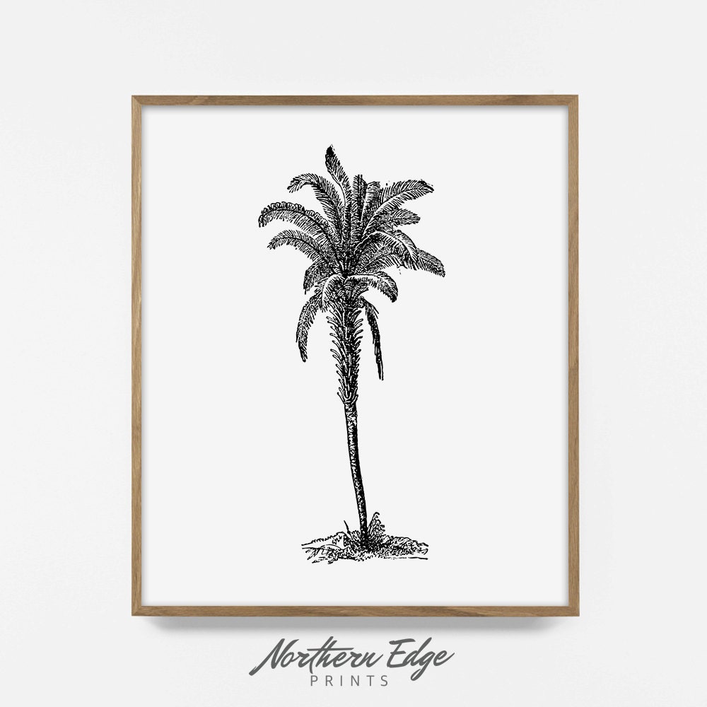 Palm Tree Printable Print Tropical Beach Summer Posters - Etsy