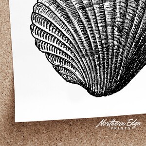 Sea Shell, Printable Print, Tropical, Beach, Summer, Posters, Wall Art ...