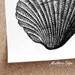 Sea Shell Printable Print Tropical Beach Summer Posters - Etsy