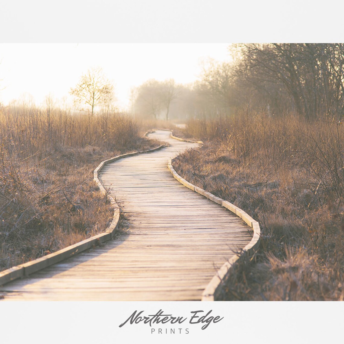 Autumn Path Art Boardwalk Print Fall Art Shabby Chic Wall | Etsy