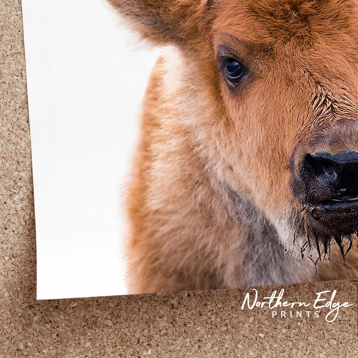 Buffalo Print Bison Wall Art Buffalo Print Southwest Print - Etsy