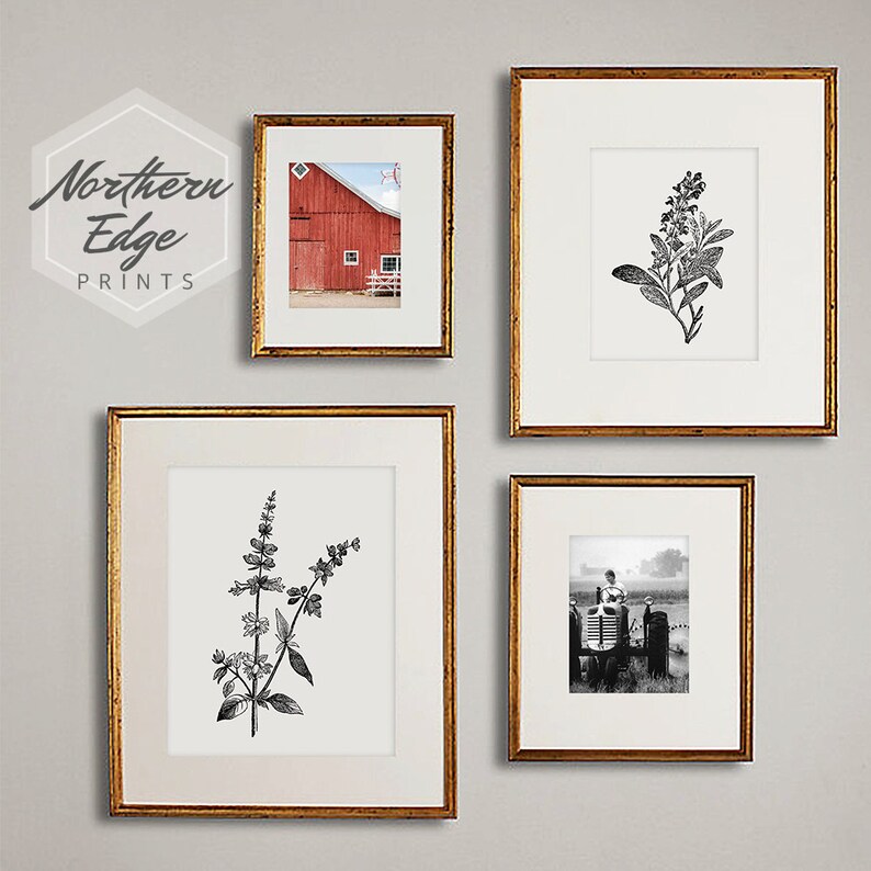 Basil Printable Kitchen Herb Print Kitchen Wall Art Dill | Etsy