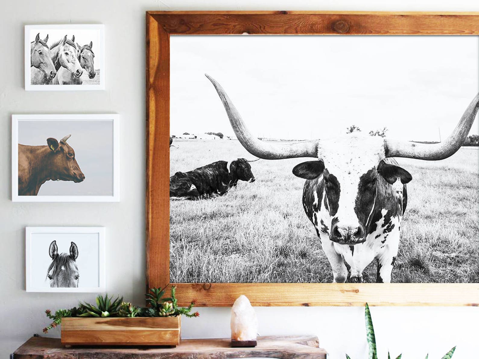 Bw Steer Print, Bw Longhorn Print, Longhorn Wall Art, Longhorn Art ...