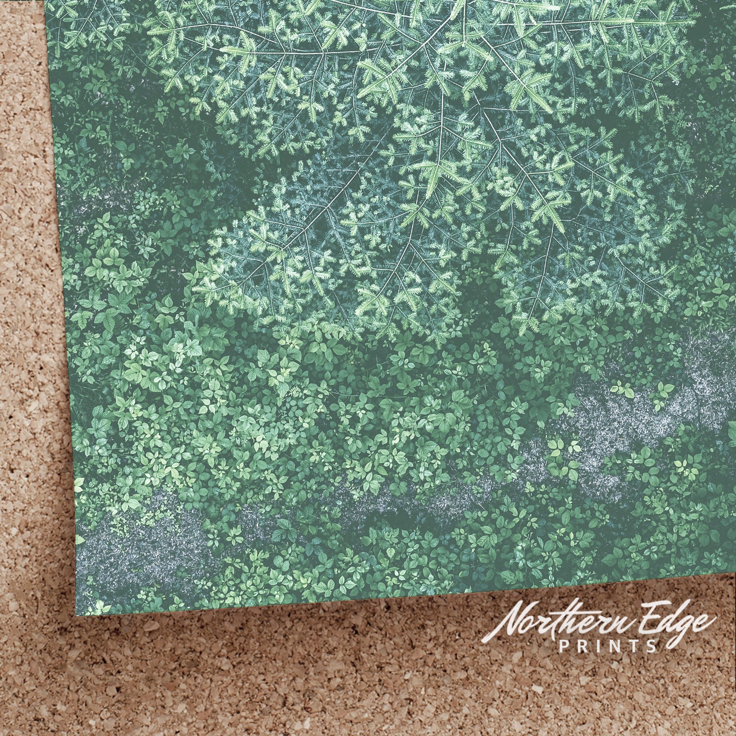 Forest Print Printable Nature Art Tree Top Print Path | Etsy