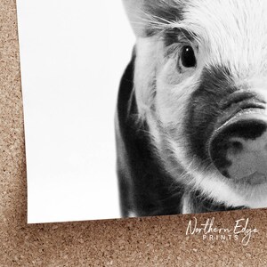 Bw Piglet Print, Pig Wall Art, Animal Nursery Print, Farm Animal Print ...