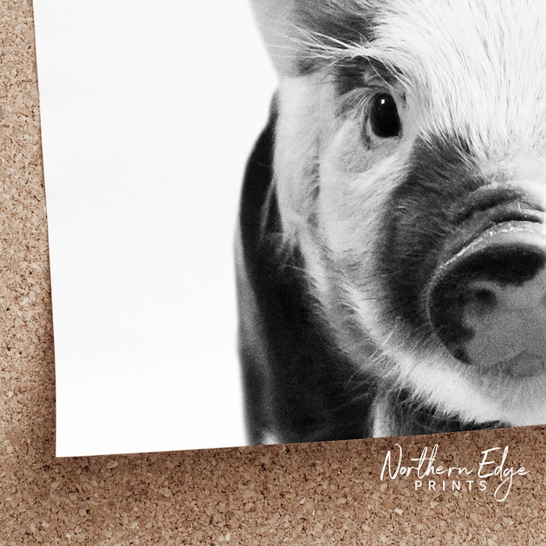 Bw Piglet Print Pig Wall Art Animal Nursery Print Farm - Etsy