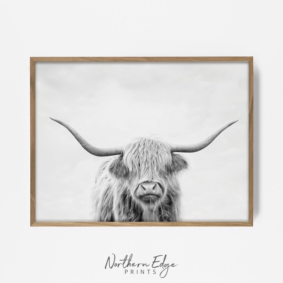 Bw Highland Cow Print, Longhorn Print, Highland Cattle Art, Longhorn ...