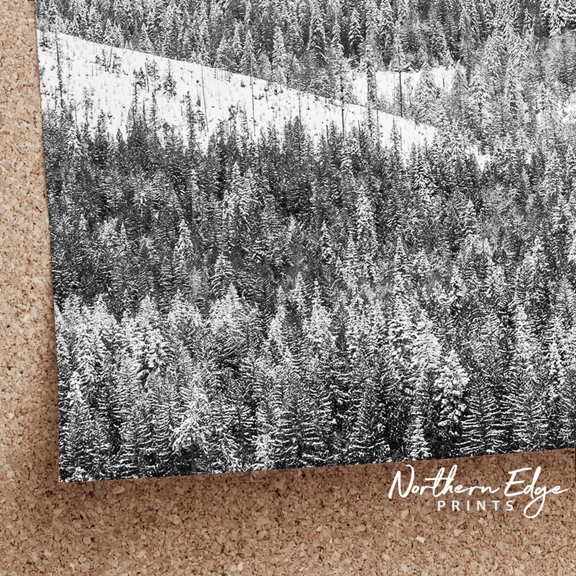 BW Tree Print Forest Print Fog Forest Art Printable Fog | Etsy