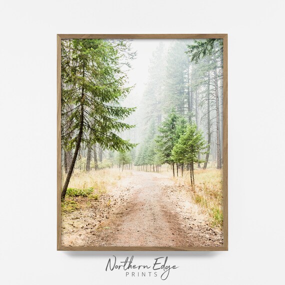 Vibrant Forest Print Nature Print Rustic Tree Art Natural | Etsy