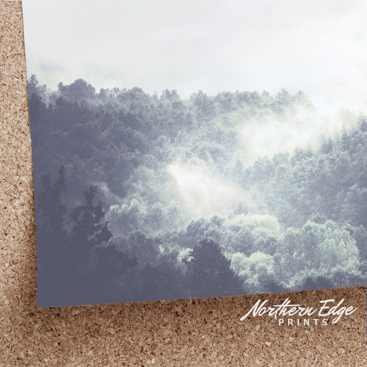 Forest Photo Printable Nature Art Nature Wall Art Photo | Etsy