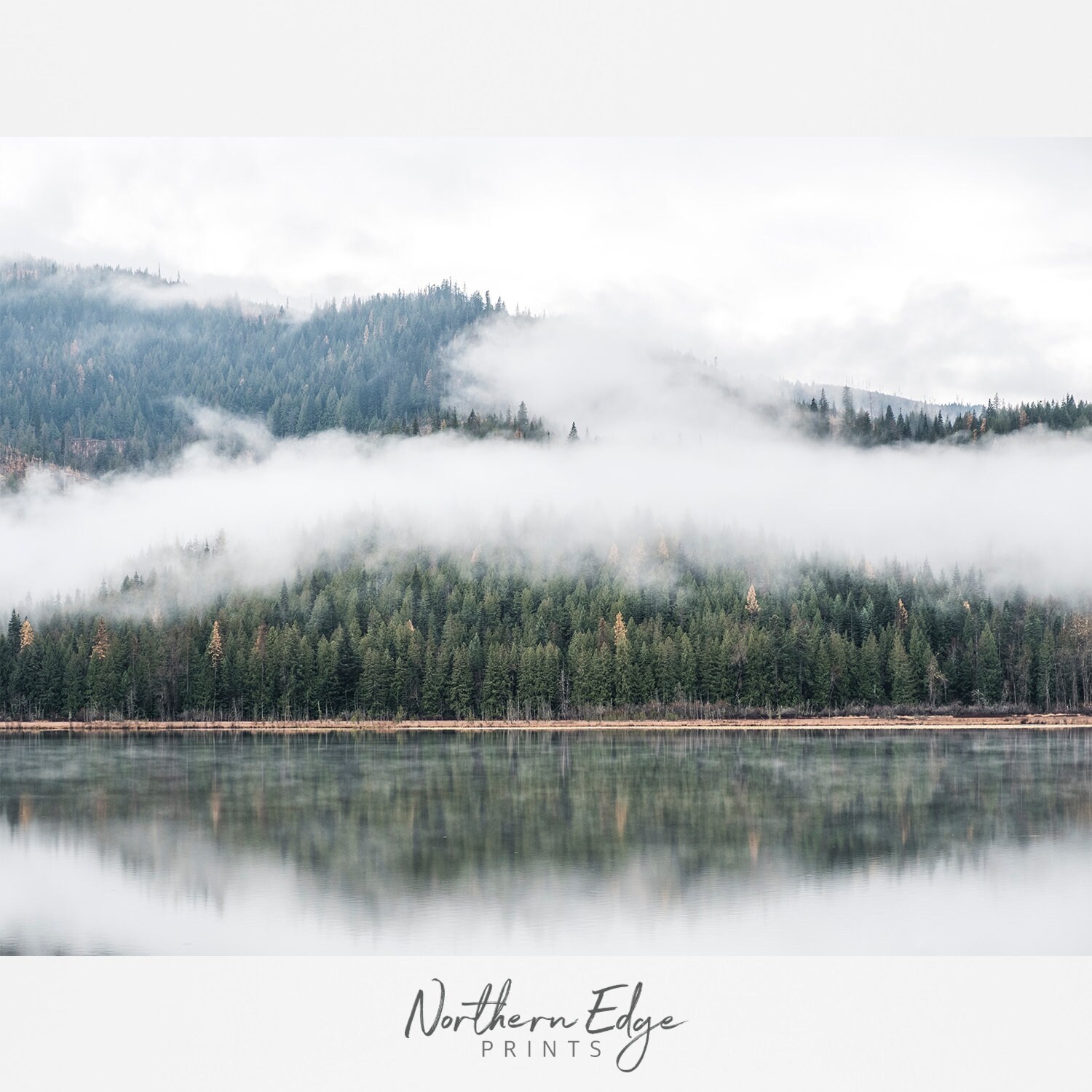 Forest Poster Nature Poster Instant Download Printable Art - Etsy