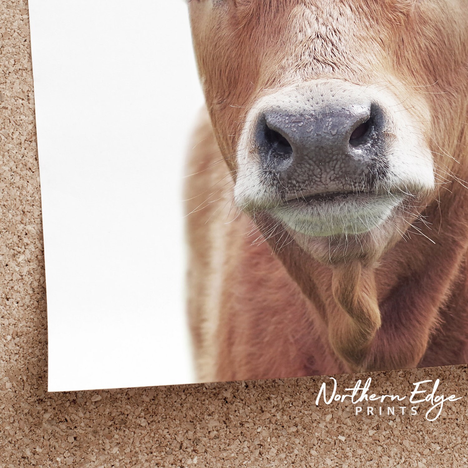 Cow print bovine cow wall art steer print southwest print | Etsy