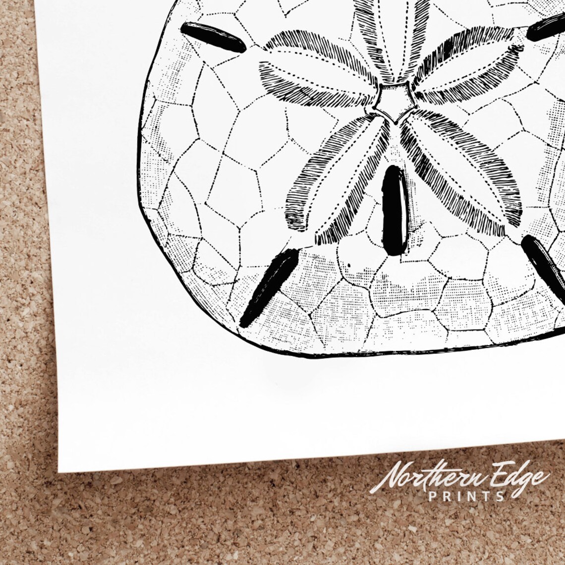 Sand Dollar Printable Print Tropical Beach Summer | Etsy